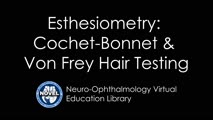 Cochet-Bonnet Esthesiometer (similar to Von Frey Hair) Exam | Eccles ...