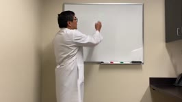 Paton's Lines | Eccles Health Sciences Library | J. Willard Marriott ...